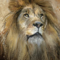 Jai Johnson - Official Website